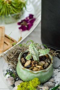 Easy Composting With Kitchen Compost Bin - My Dainty Soul Curry