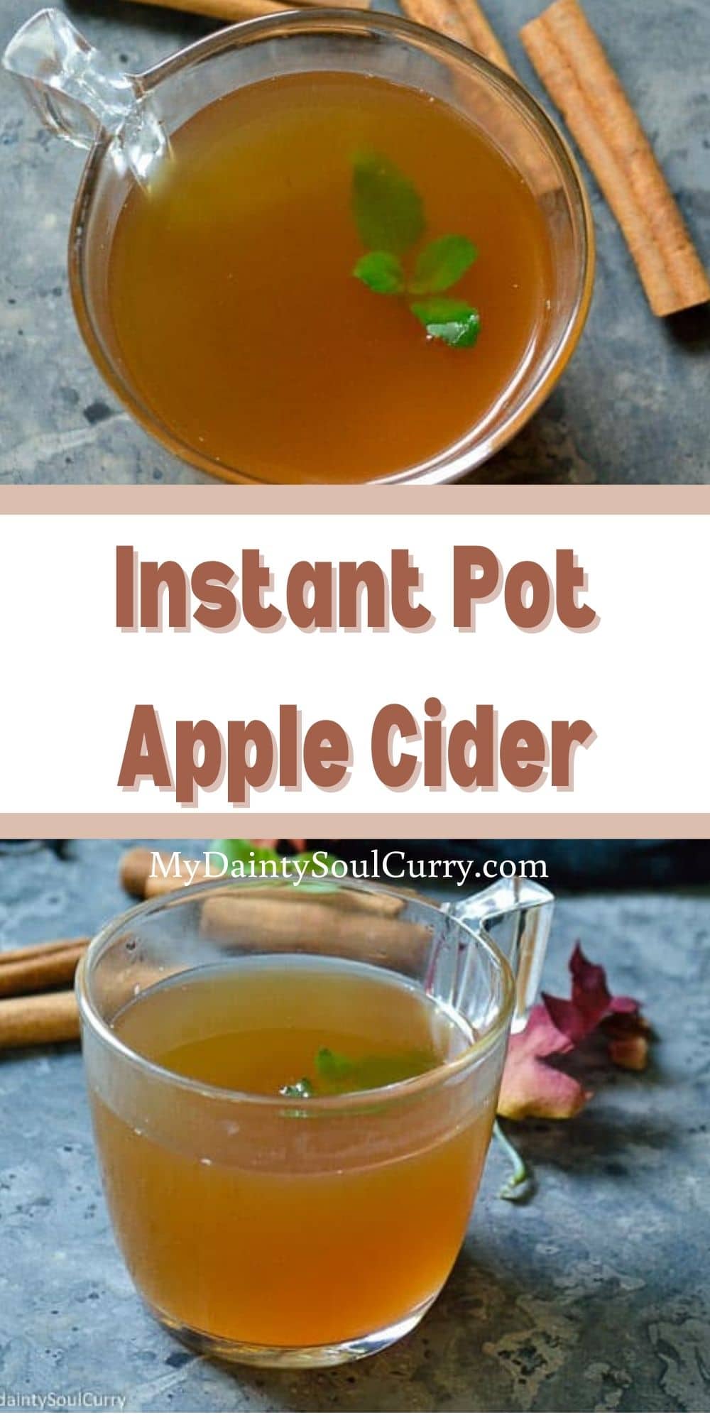 Instant Pot Apple Cider - My Dainty Soul Curry