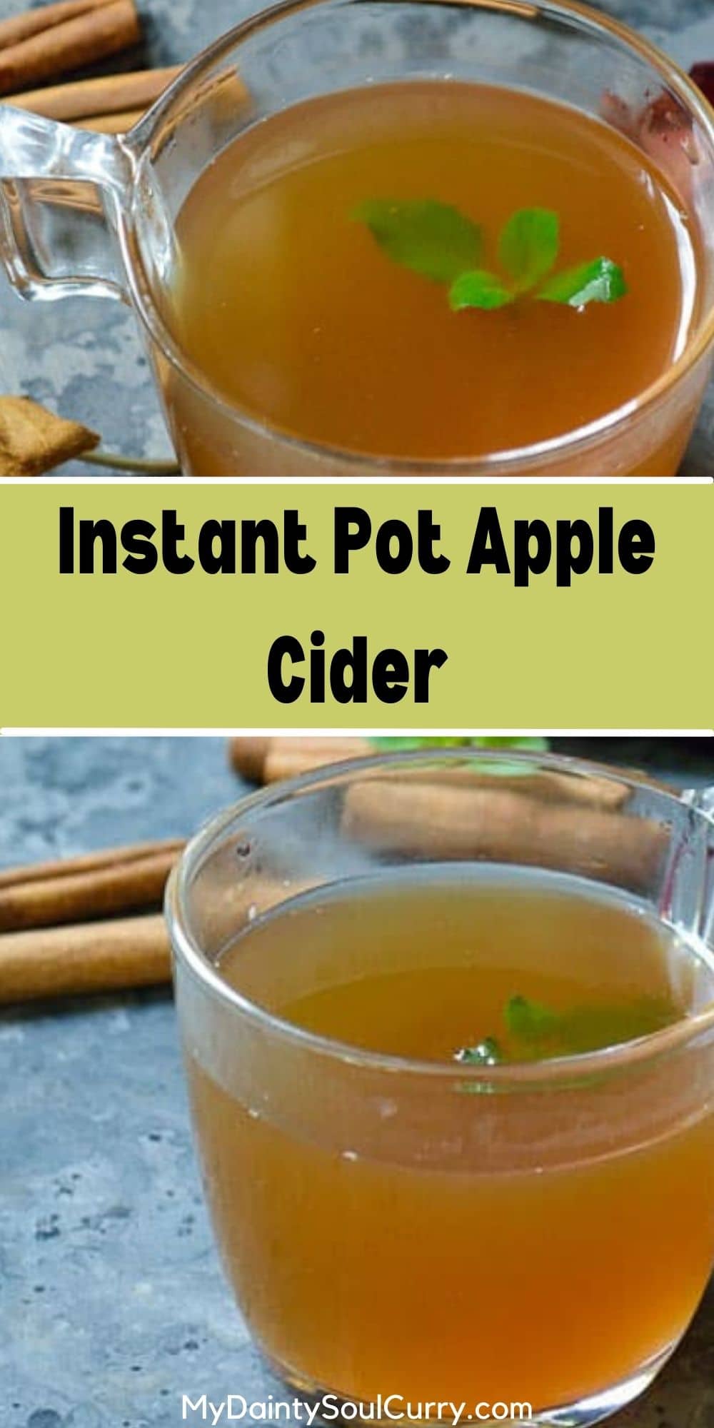 Instant Pot Apple Cider - My Dainty Soul Curry