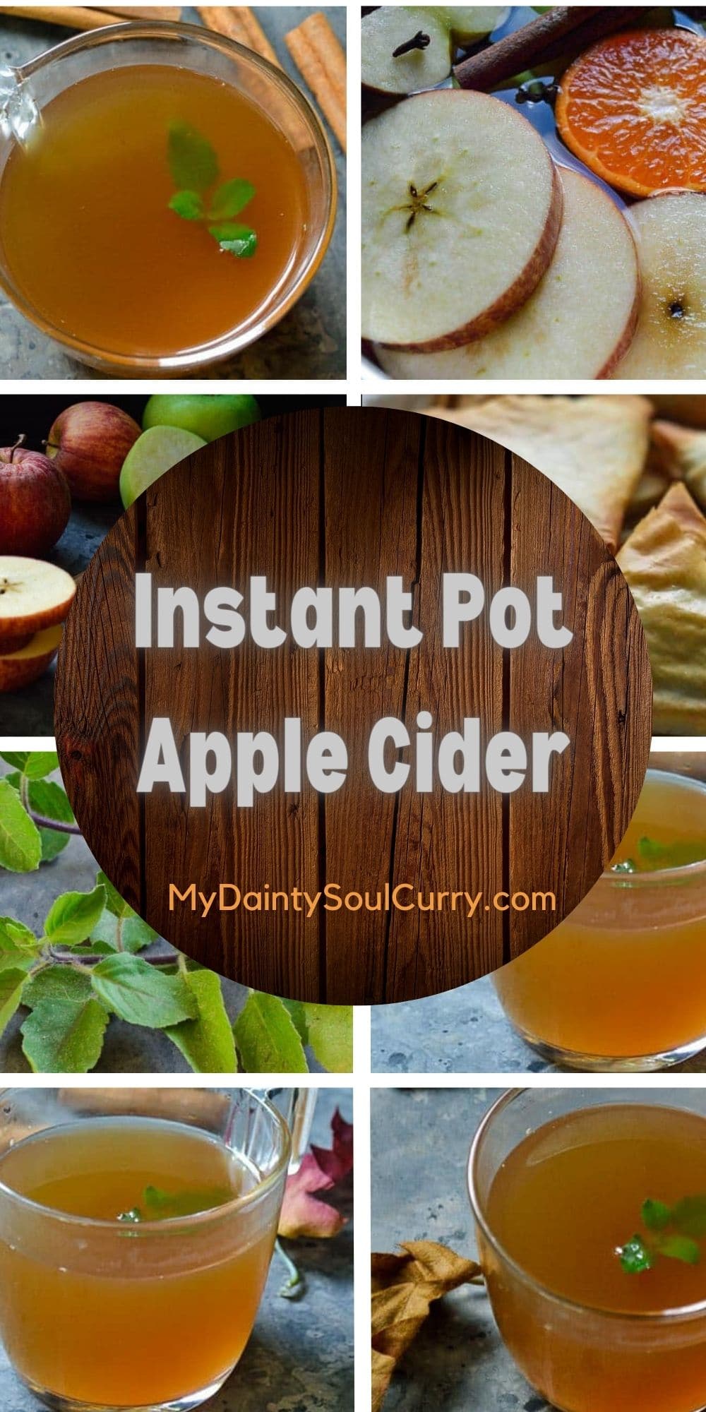 Instant Pot Apple Cider - My Dainty Soul Curry