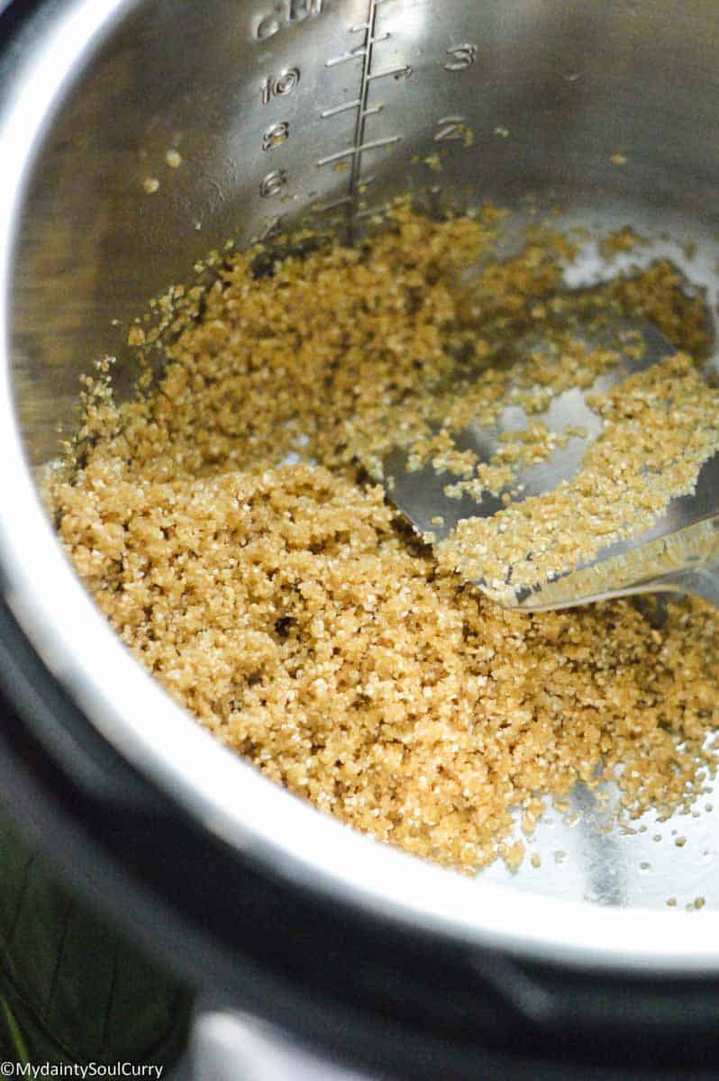 Fada Lapsi {Instant Pot} - My Dainty Soul Curry