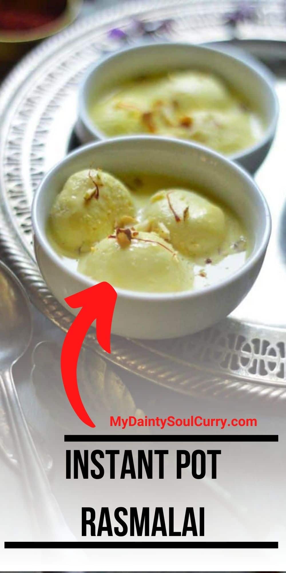 Instant Pot Rasmalai - My Dainty Soul Curry
