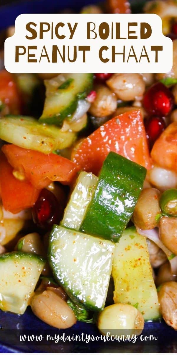 Spicy Boiled Peanut Chaat - My Dainty Soul Curry