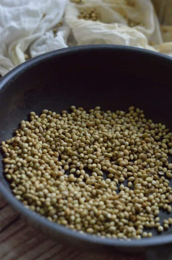 How To Make Coriander Powder - My Dainty Soul Curry