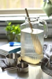 Homemade Water Kefir Recipe - My Dainty Soul Curry